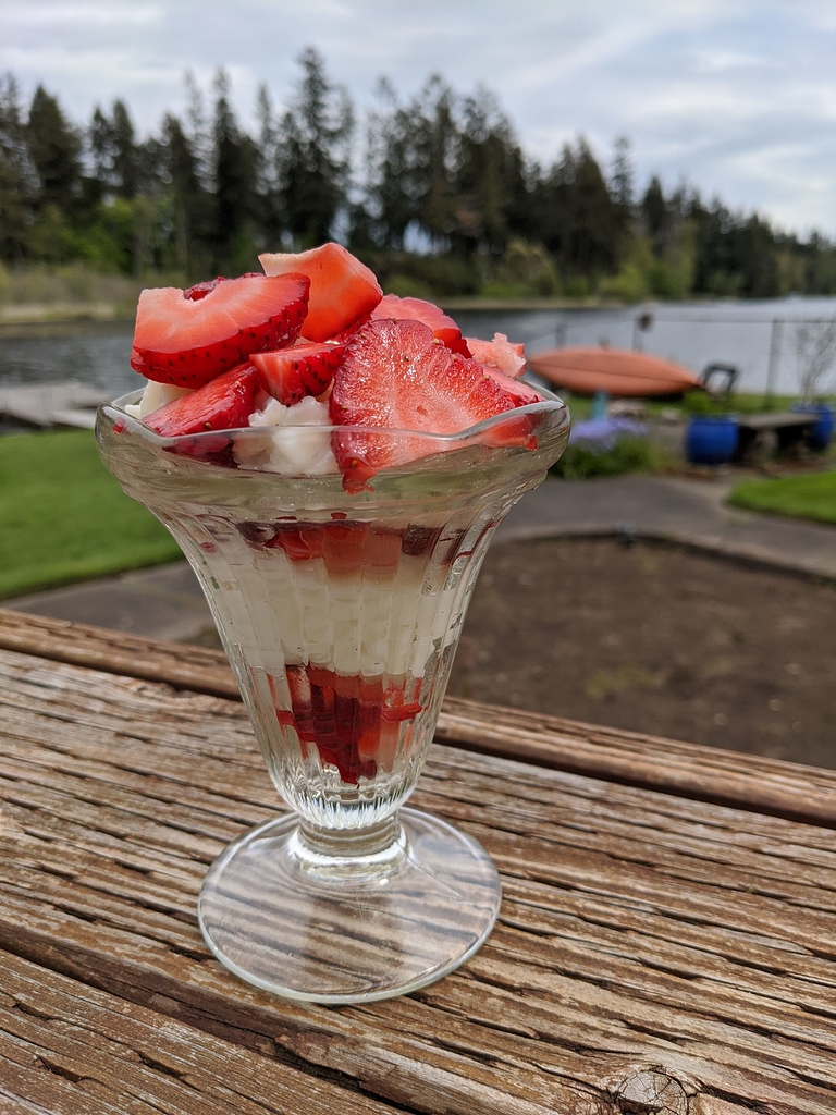 Rice Pudding Parfaits - Completed Projects - the Lettuce Craft Forums