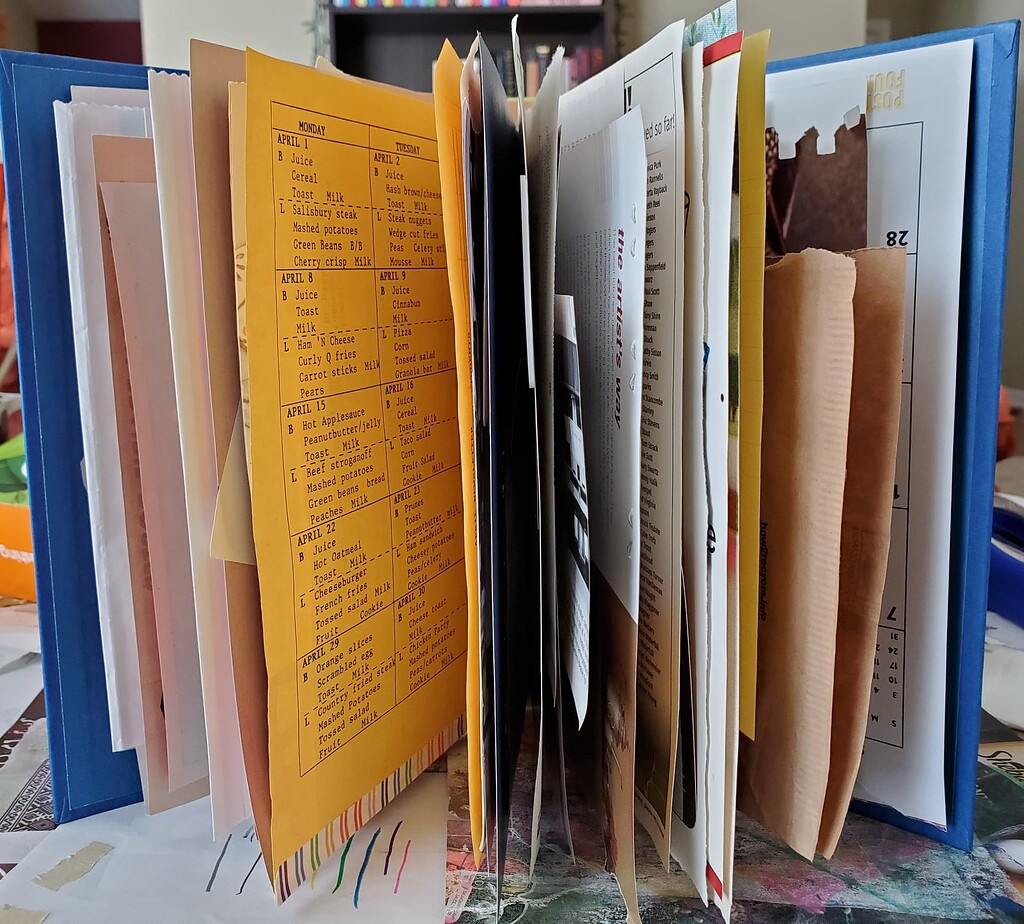 A New Whatever Journal (lots of pics) - Completed Projects - the ...