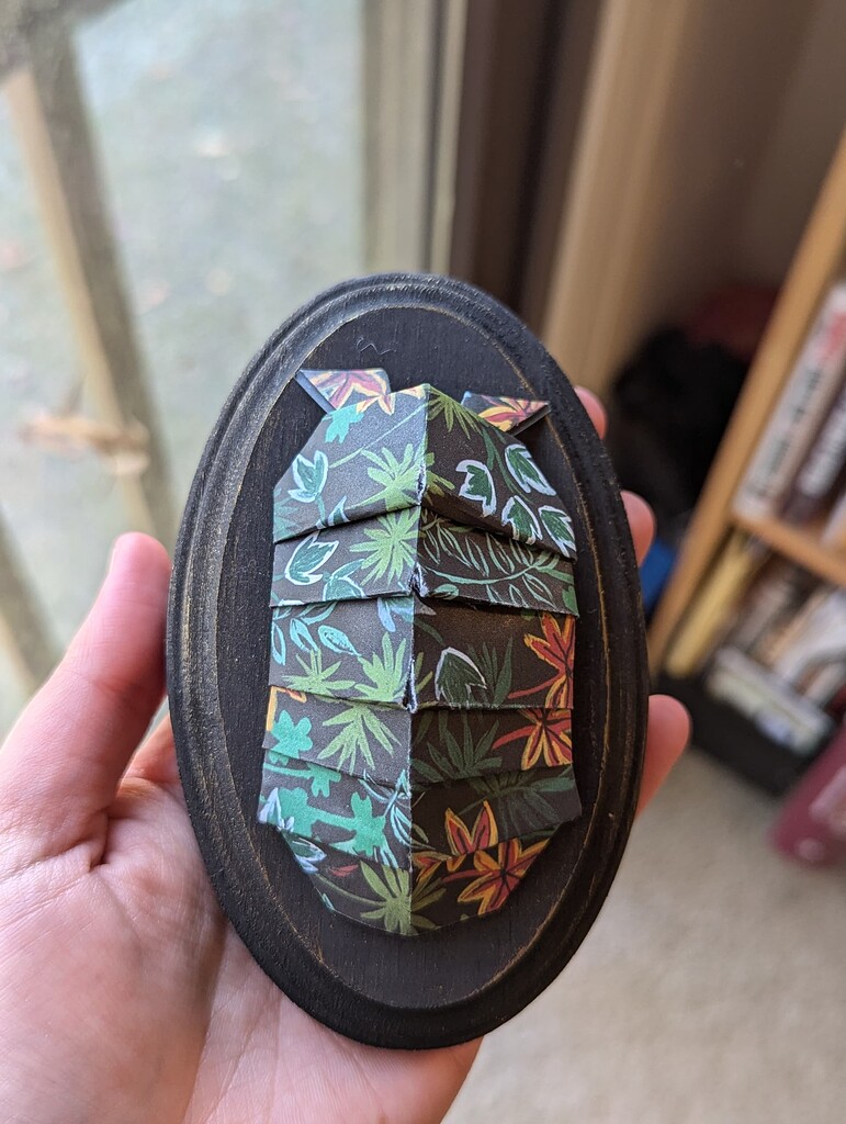 Mounted Origami Beetles - Completed Projects - the Lettuce Craft Forums