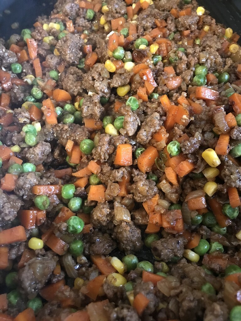 French Onion Savoury Mince - Completed Projects - the Lettuce Craft Forums