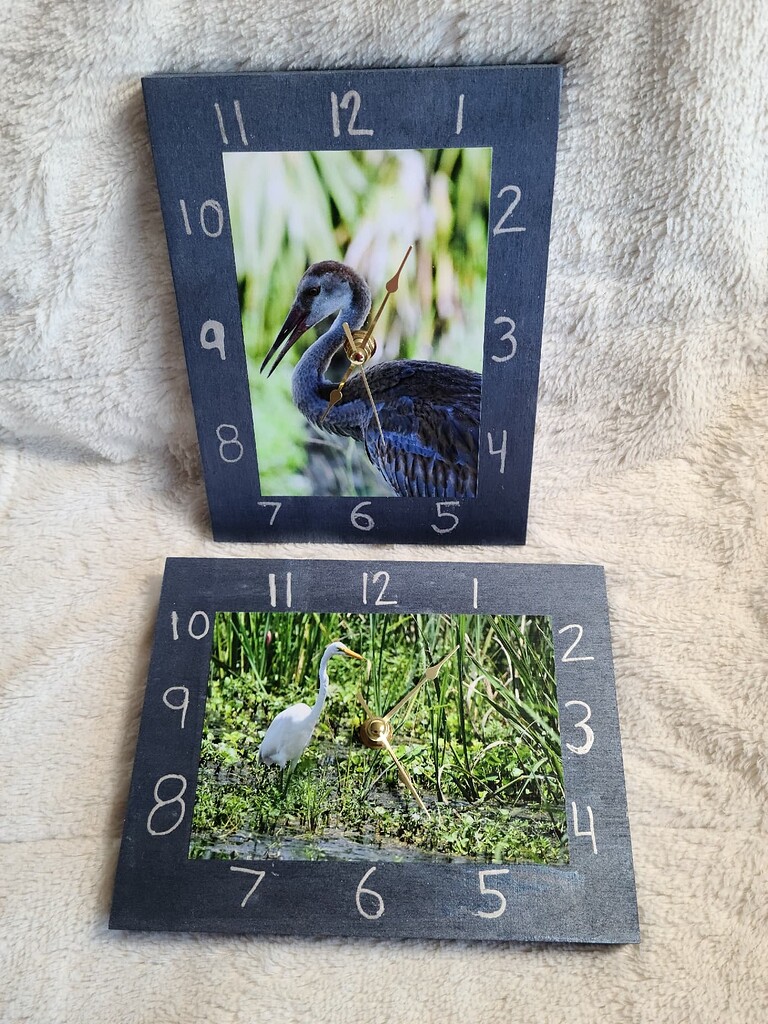 Did someone make more clocks? Bird clocks? - Completed Projects - the ...