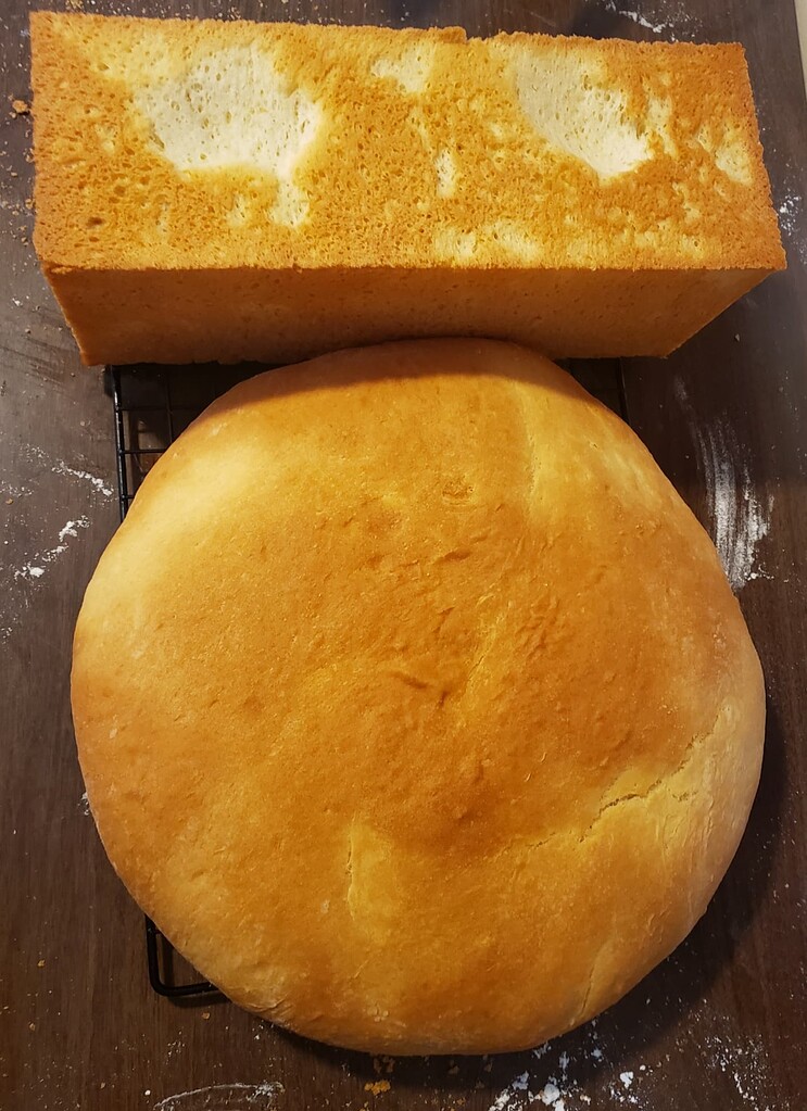 Loaf of bread and a big 'ol bun - Completed Projects - the Lettuce ...